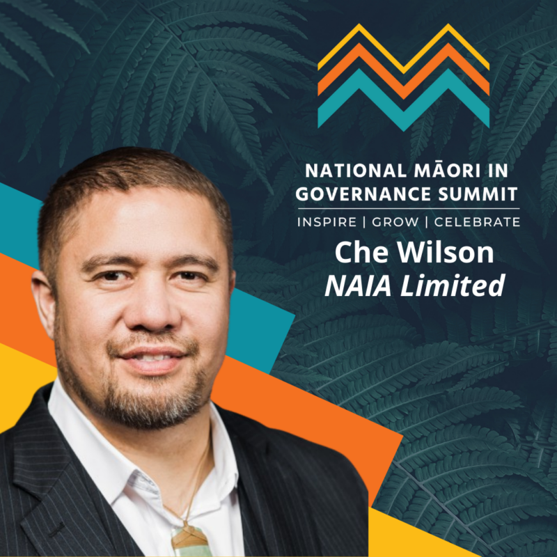 Summit – maorigovernance.co.nz